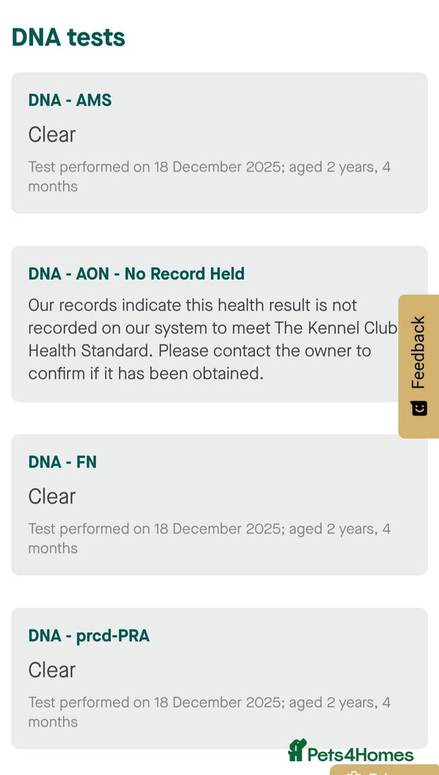 Kc registered Cocker spaniel stud for stud in Pickering | Pets4Homes