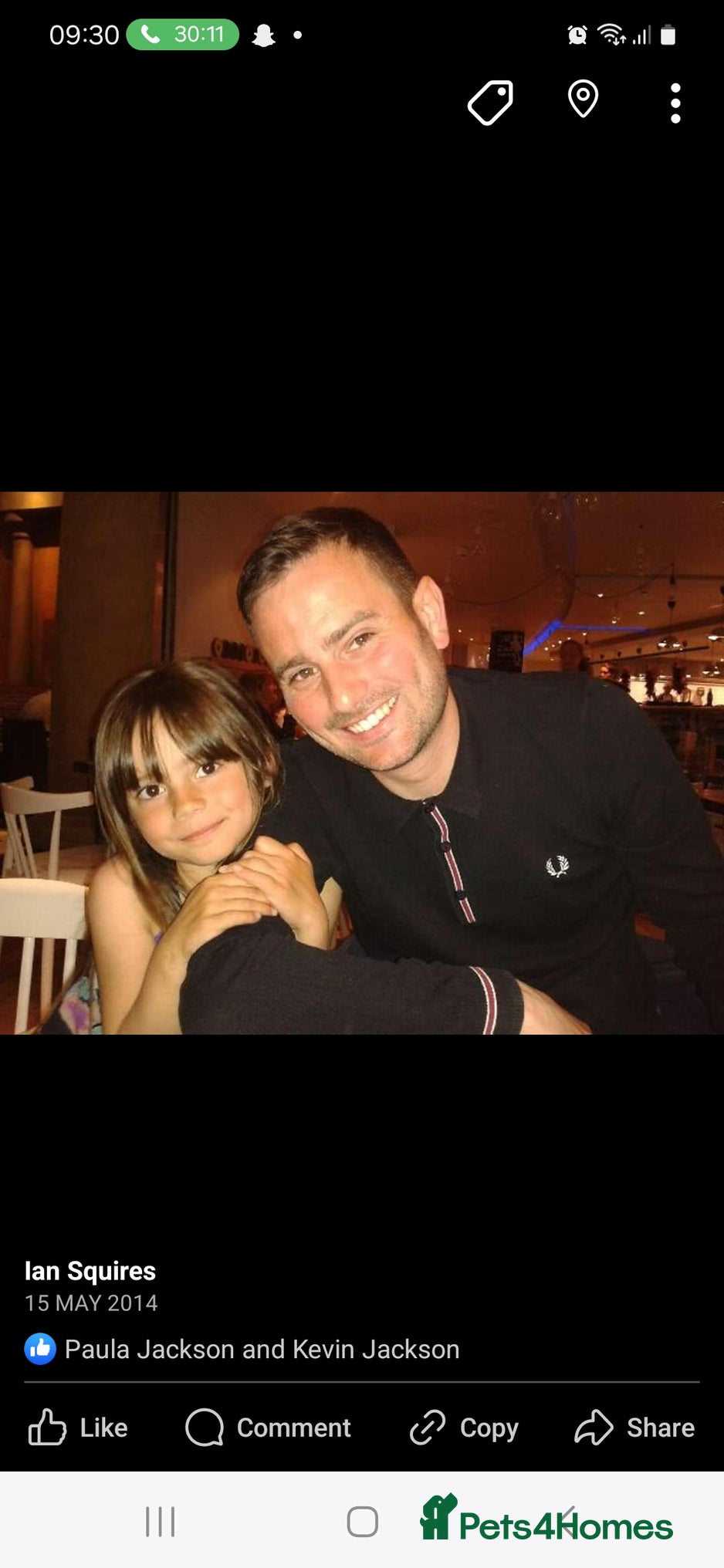 Whippet Mixed Breed puppies for sale | Pets4Homes