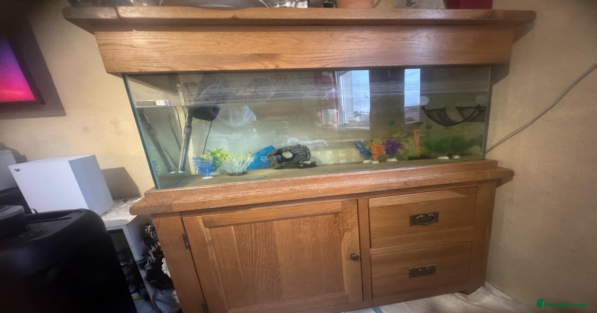 150l fish tank with storage for sale in Gravesend | Pets4Homes