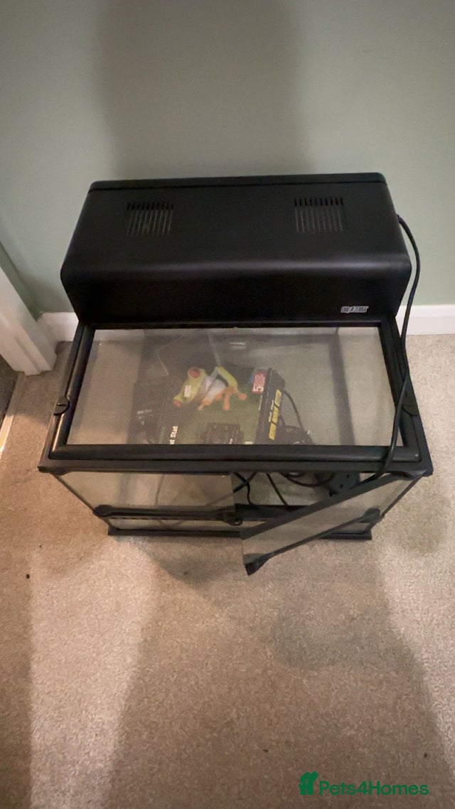 Gecko/Lizard cage for sale in Peterborough | Pets4Homes