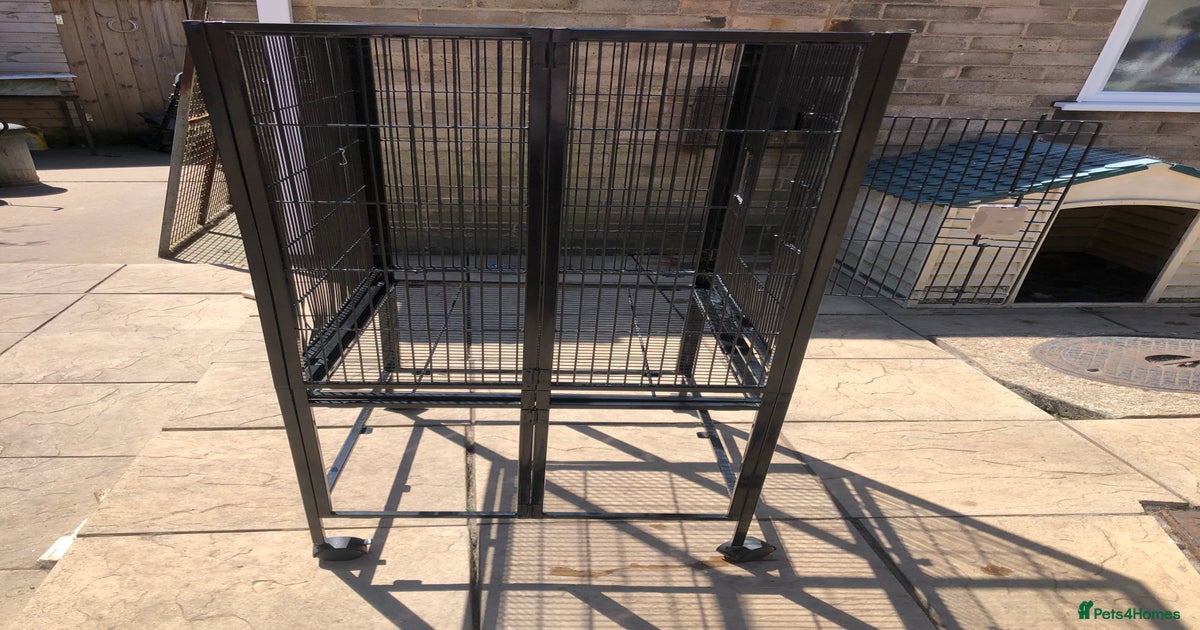 Bird cages and aviary for sale in Spalding | Pets4Homes