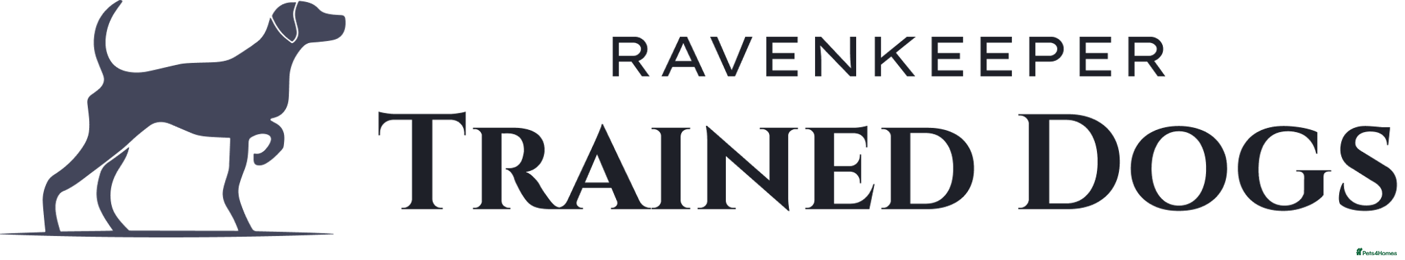 Golden Retriever breeders | Pets4Homes