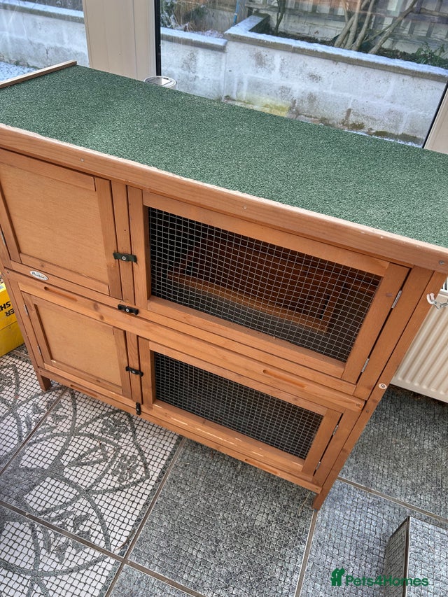 Two bonded female rabbits with brand new hutch for sale in Birmingham ...