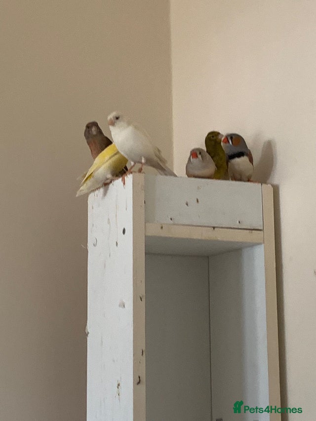 Wavey davey antics | Pets4Homes