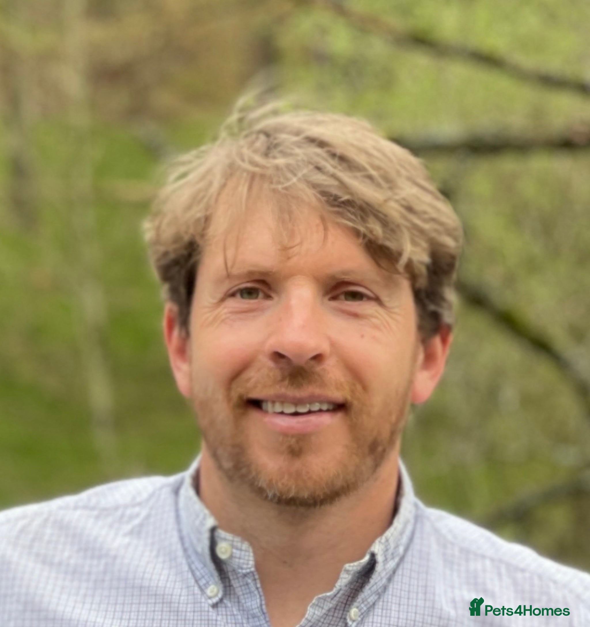 Golden Retriever breeders | Pets4Homes