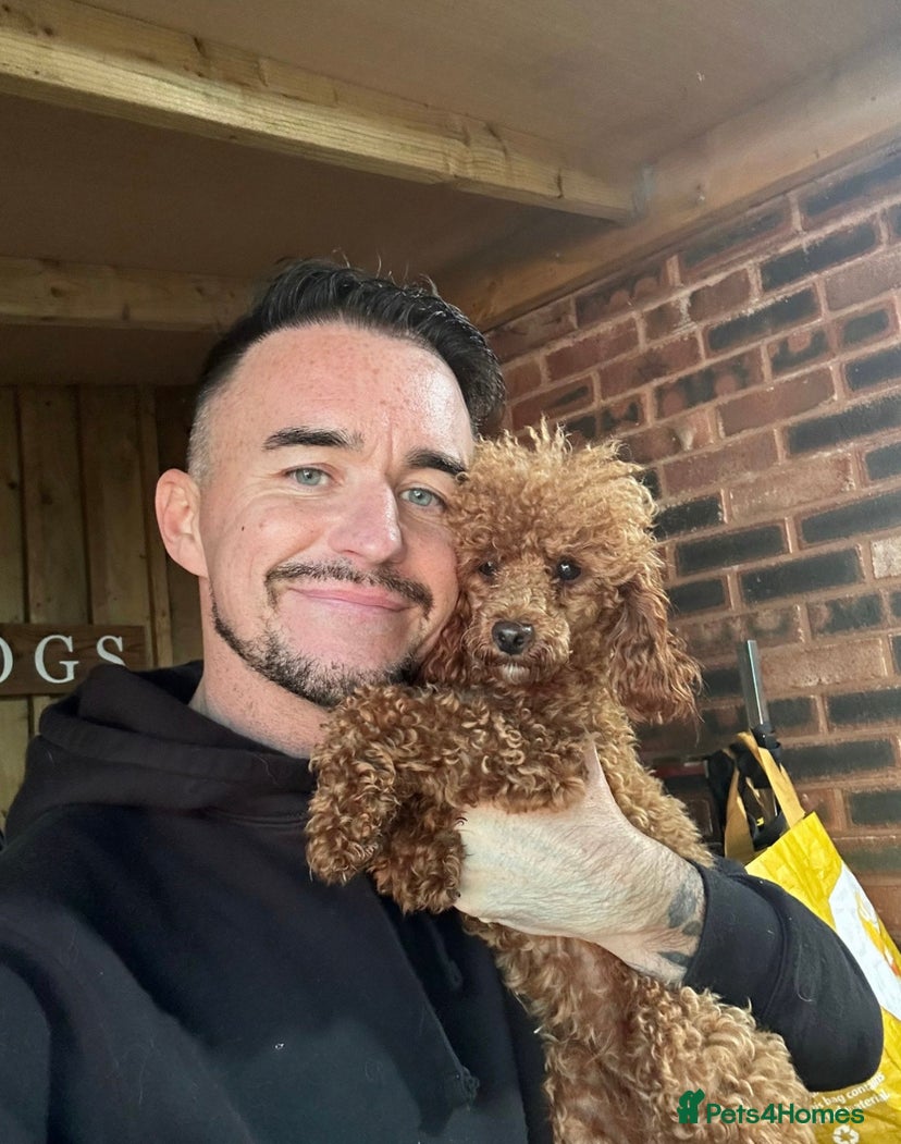 Tim.. | Pets4Homes
