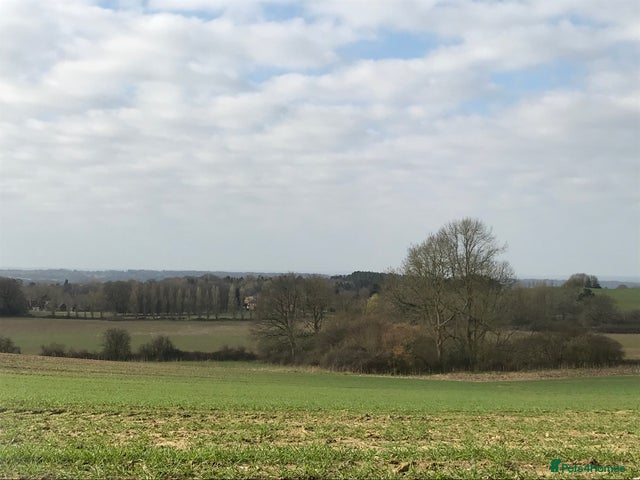 Surrey Therapy | Pets4Homes